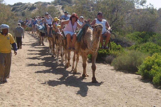 Camel Riding in Maspalomas Dunes - Pricing and Booking Information