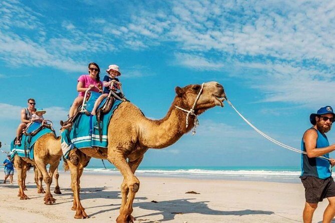 Camel Safari 30 minutes In White Sand Beach - Final Thoughts