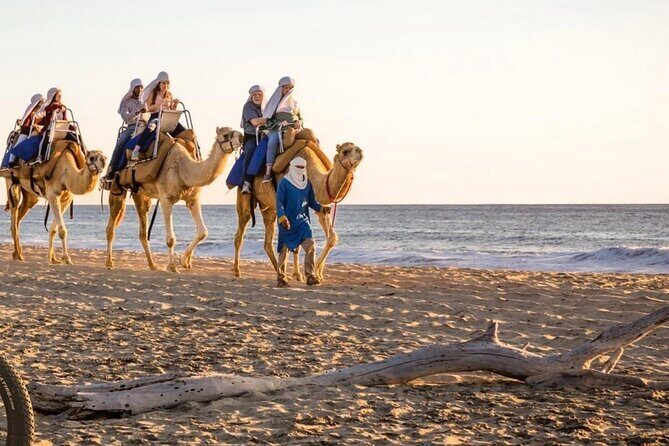 Camel Safari and Gastronomic Experience in Los Cabos - FAQs