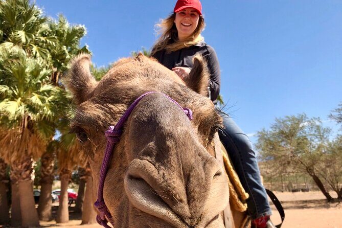 Camel Safari - Camel Ride and Zoo Tour - Exploring the Tour Itinerary in Detail