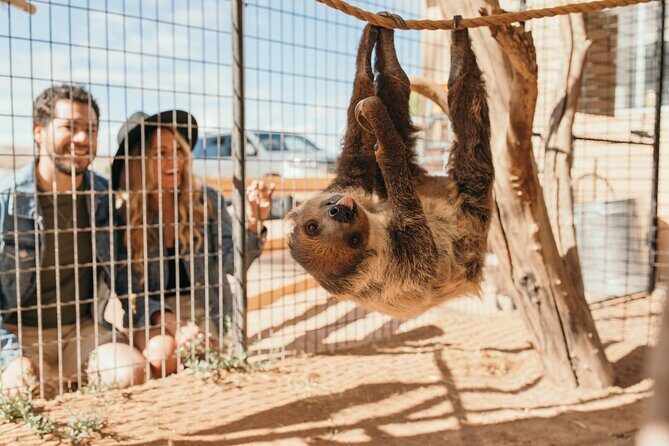 Camel Safari - Camel Ride and Zoo Tour - Practical Details and Tips for Visitors