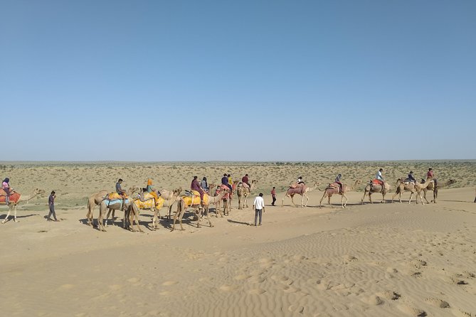 Camel Safari - What to Expect During the Tour