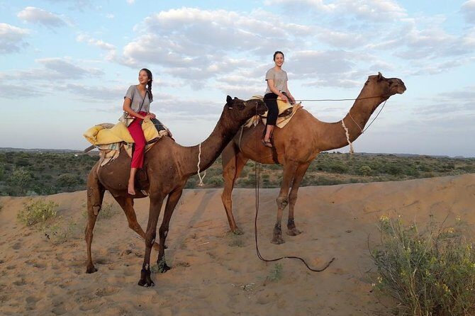 Camel Safari Experience With Locals - Key Points