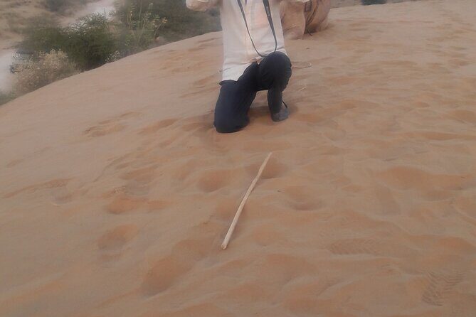 Camel Safari Experience With Locals - Evaluating the Value
