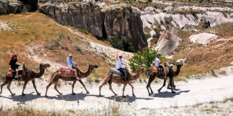 Camel Safari in Cappadocia - The Sum Up: Is a Camel Safari in Cappadocia Worth It?