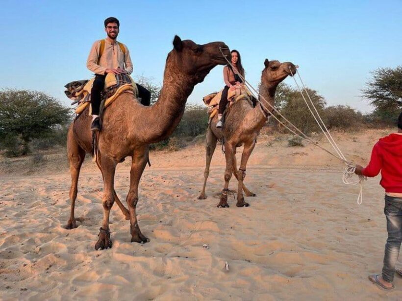 Camel Safari Tour From Jodhpur - The Sum Up