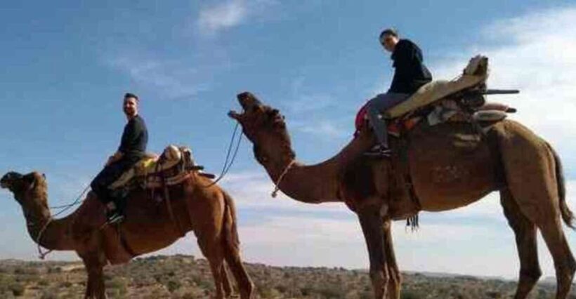 Camel Safari Tour From Jodhpur - FAQ
