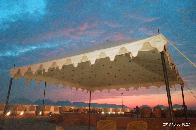 camel safari with night stay in the desert, - What to Expect from the Camel Safari Experience