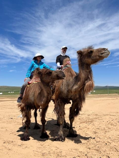 Camel Trails and Bird Tales: Discovering Elsen Tasarkhai - Overview of the Tour Experience