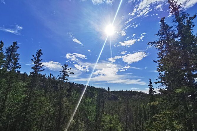 Cameron Falls Hiking Tour - Authentic Experience and What You’ll Take Home