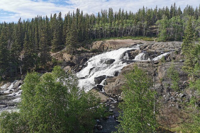Cameron Falls Hiking Tour - Who Will Love This Tour?