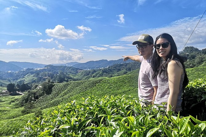Cameron Highland Best Tour from Ipoh with Lunch ( Day Trip) - Final Thoughts
