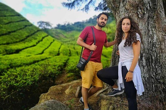 Cameron Highland Best Tour from Kuala Lumpur( Day Trip) - What to Expect from the Tour