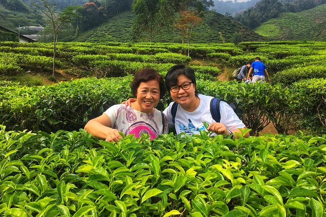 Cameron Highland Best Tour from Kuala Lumpur( Day Trip) - Final Thoughts