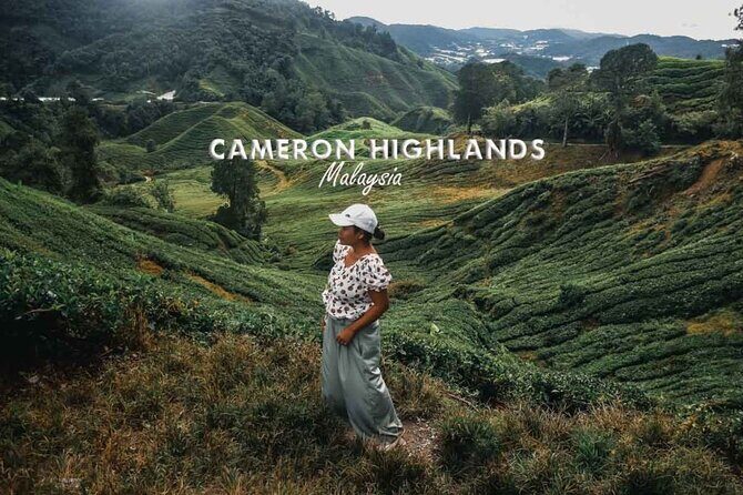 Cameron Highland Day Tour From Kuala Lumpur By Group - Key Points