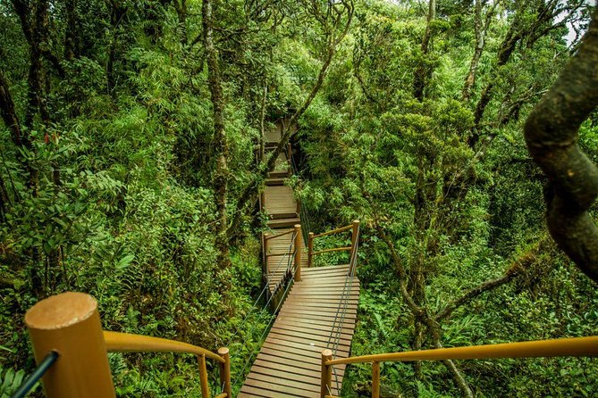 Cameron Highland Day Tour from Kuala Lumpur - Who Will Love This Tour?