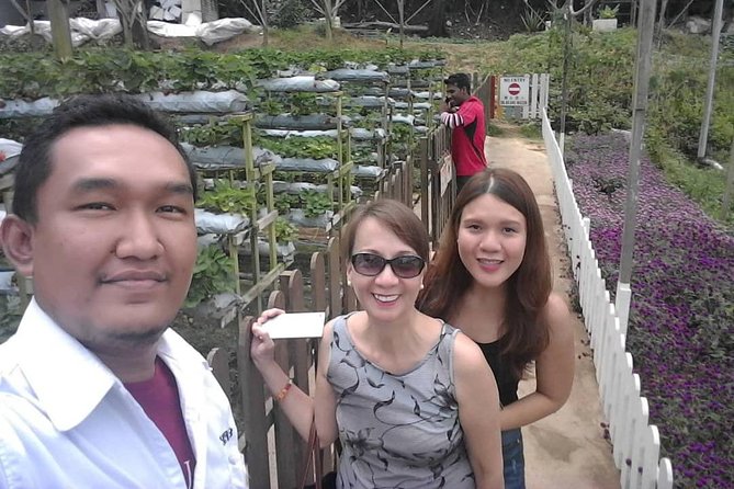 Cameron Highland Day Tour From Kuala Lumpur With Lunch Local food - Tea with a View at Cameron Valley Tea