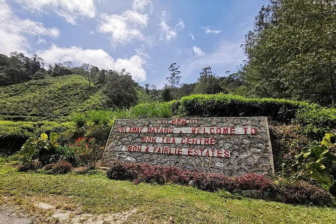 Cameron Highland Day-Trip from Kuala Lumpur - An In-Depth Look at the Cameron Highlands Day-Trip