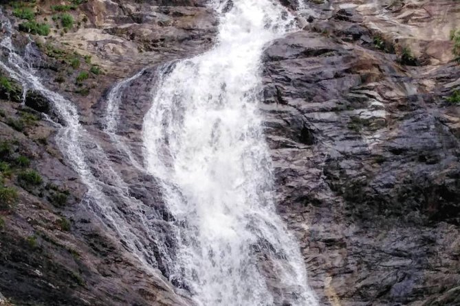 Cameron Highland Private Day Tour - FAQ