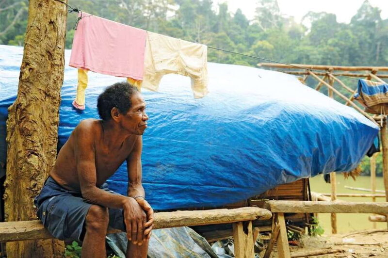 Cameron Highlands 1 Day Tour from Kuala Lumpur - The Sum Up: Who Is This Tour For?