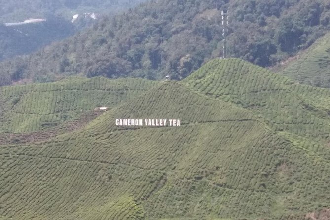 Cameron Highlands 3 Days 2 Night Tours Private (per Vehicle) - Final Thoughts