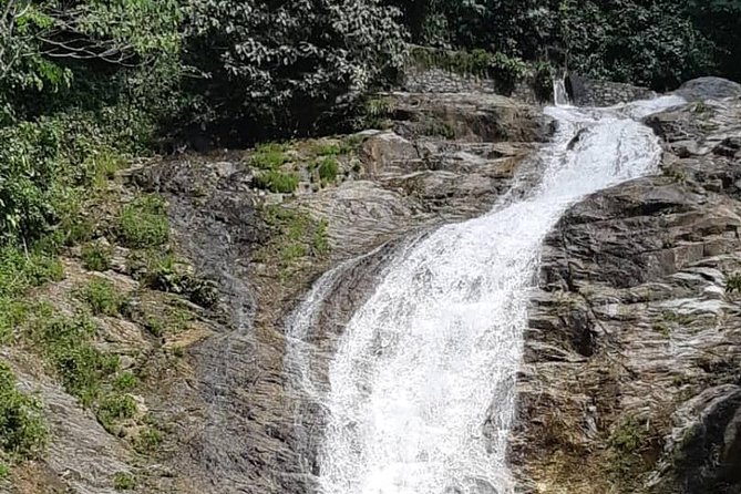 Cameron Highlands Amazing Day Trip Tour with Local Lunch - Who This Tour Is Best For