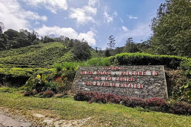 Cameron Highlands & Batu Caves Full-Day Tour - The Convenience of Pickup and Transportation