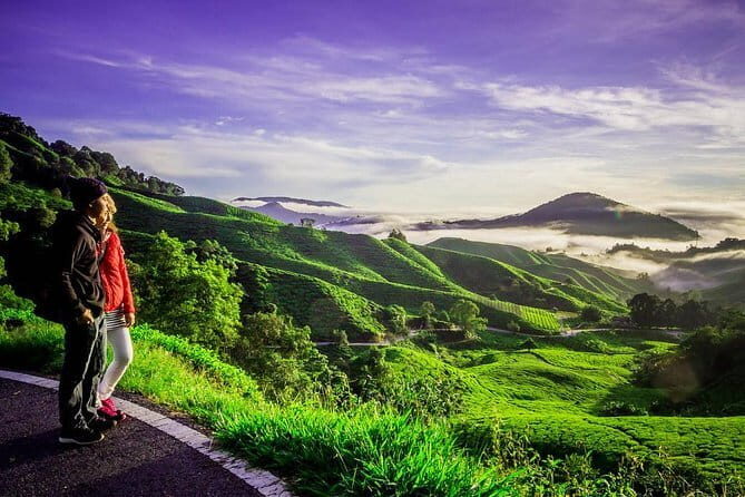 Cameron Highlands & Batu Caves Full-Day Tour - Big Red Strawberry Farm and Cactus Valley