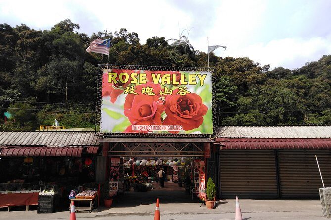 Cameron Highlands Day Trip - Final Thoughts