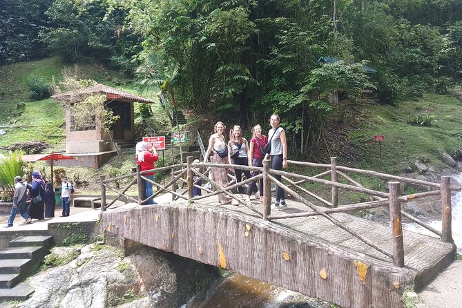 Cameron Highlands Day Trip - Authentic Experiences and Real Traveler Insights