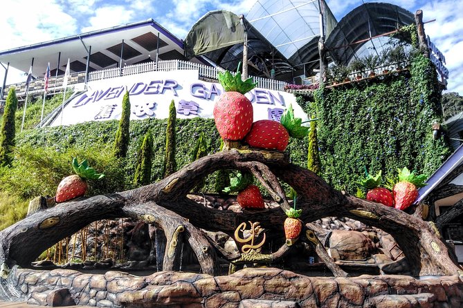 Cameron Highlands Day Trip From Kuala Lumpur - A Detailed Look at the Cameron Highlands Day Trip