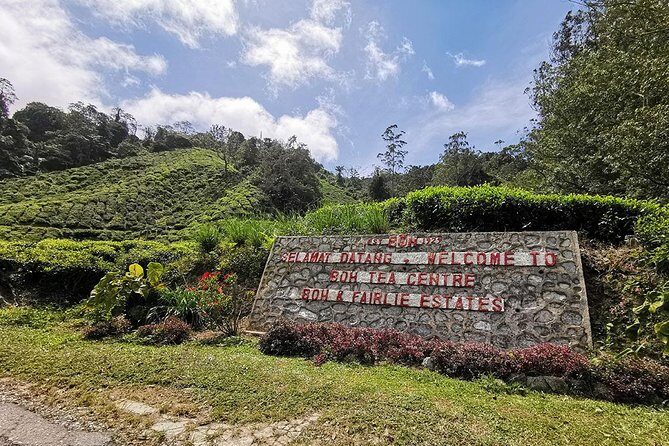 Cameron Highlands Full-Day Nature Tour - Analyzing the Tour Itself