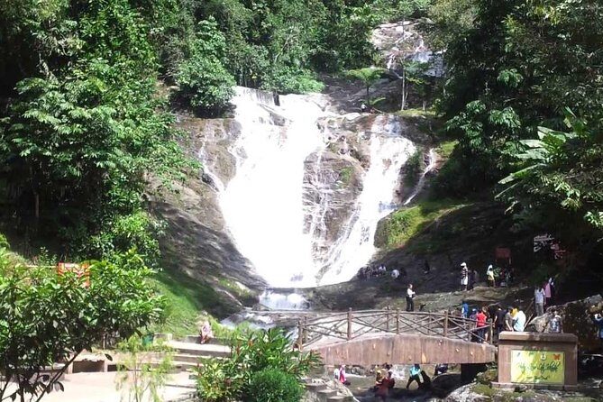 Cameron Highlands Full-Day Tour - Introduction: Why Choose This Cameron Highlands Tour?