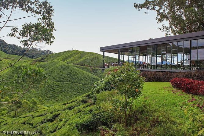 Cameron Highlands Private Day Tour from Ipoh, Package B - Final Thoughts: Is It Worth It?