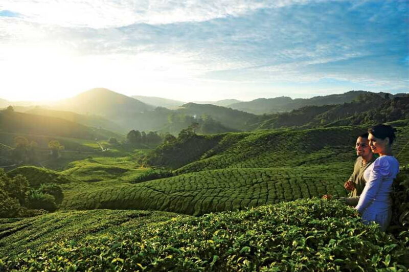 Cameron Highlands Private Day Tour from Kuala Lumpur - Who Will Love This Tour?