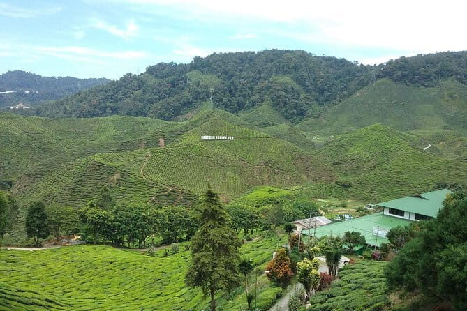 Cameron Highlands Sightseing Tour - Introduction