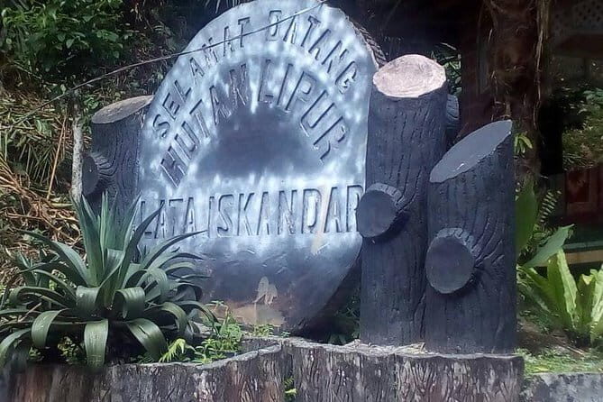 Cameron Highlands Sightseing Tour - Detailed Review of the Cameron Highlands Sightseeing Tour