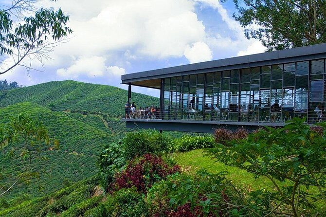 Cameron Highlands Tour from Kuala Lumpur - Who Is This Tour Best For?