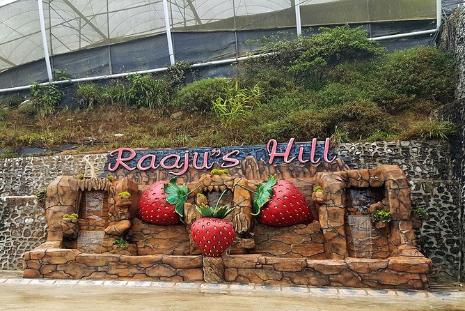 Cameron Highlands Tour From Kuala Lumpur (Private Tour) - Meeting and Departure
