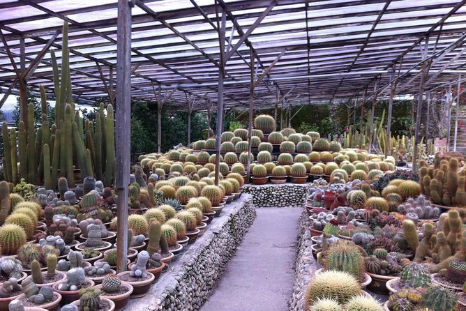 Cameron Highlands Tour From Kuala Lumpur (Private Tour) - First Stop: Lata Iskandar Waterfall
