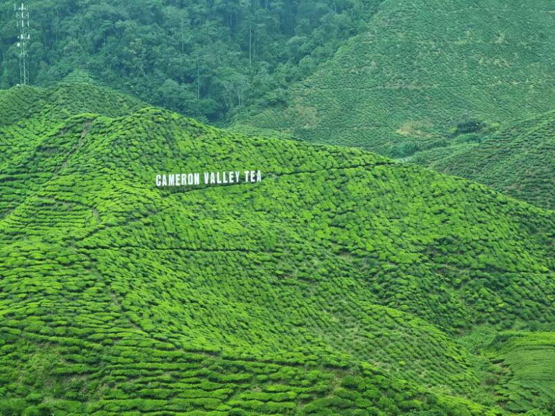 Cameroon Highland : Best nature in highland - Exploring the Aborigine Village: Culture and Authenticity