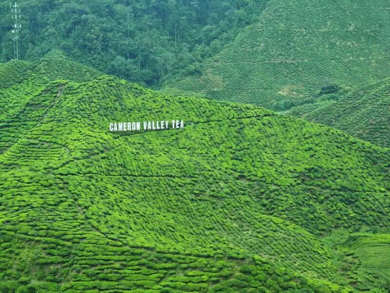 Cameroon Highland : Best nature in highland - Final Thoughts