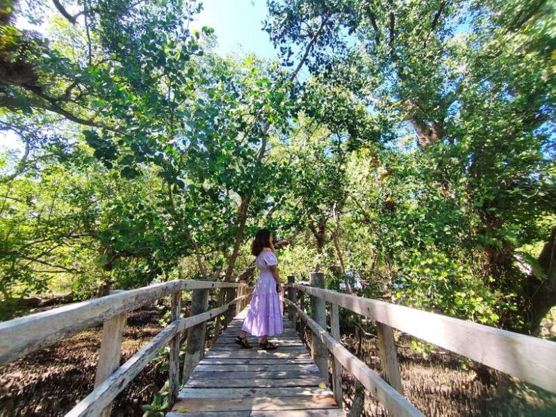 Camiguin: White Island Mantigue Island Exploration - Who This Tour Is Best For