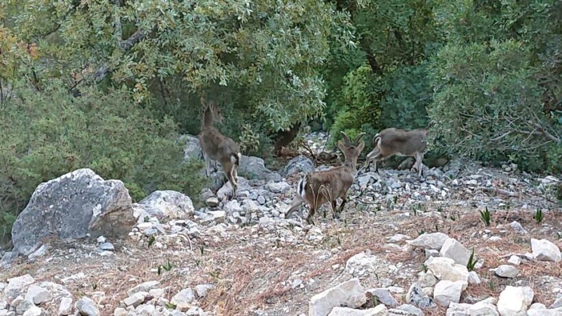 Caminito del Rey: Guided Tour with 1 Drink and Shuttle Bus - The Sum Up: Who Should Consider This Tour?