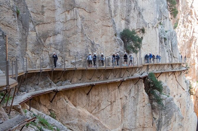 Caminito Del Rey Tour Direct From Malaga - Traveler Feedback and Tips
