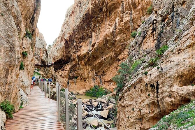 Caminito del Rey with Pickup from Malaga City - What Makes This Tour Stand Out?