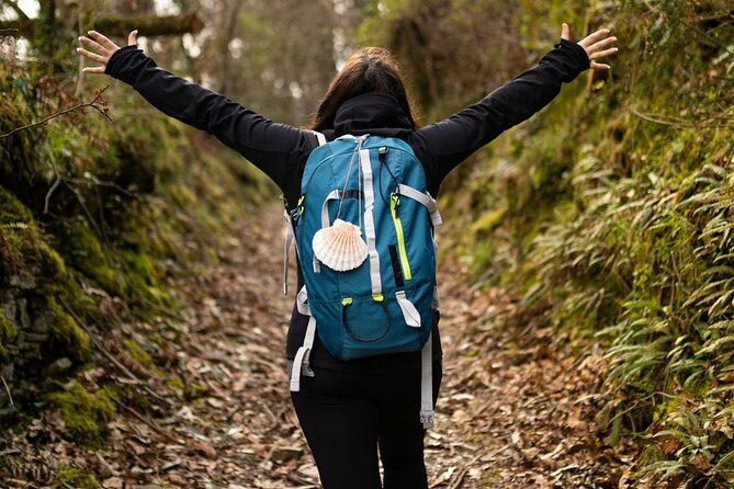 Camino de Santiago French from Sarria to Santiago de Compostela - Analyzing the Value