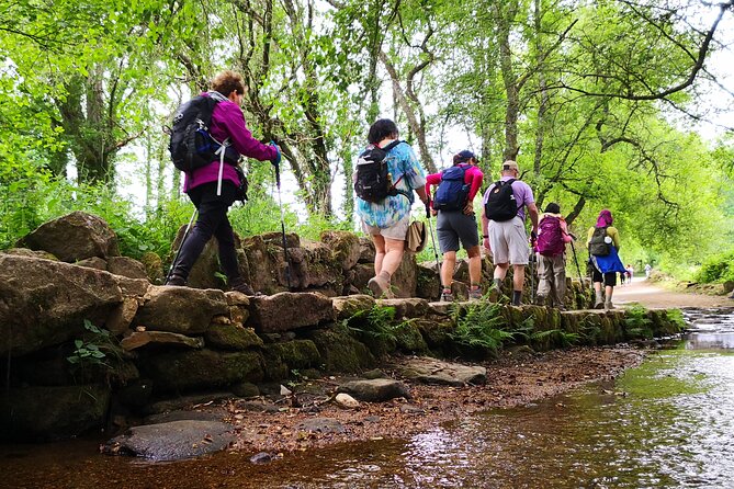 Camino de Santiago French from Sarria to Santiago de Compostela - Practical Considerations