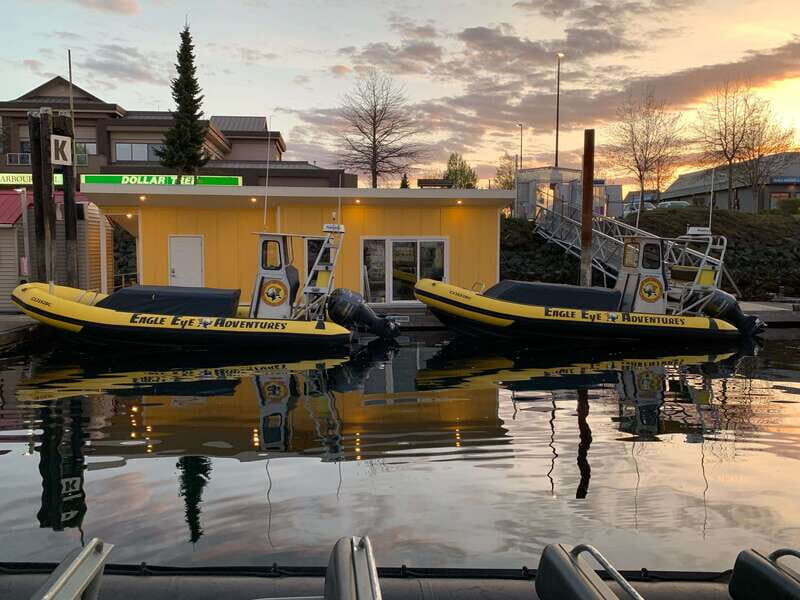 Campbell River: 4 Hour Whale & Wildlife Zodiac Boat Tour - FAQs