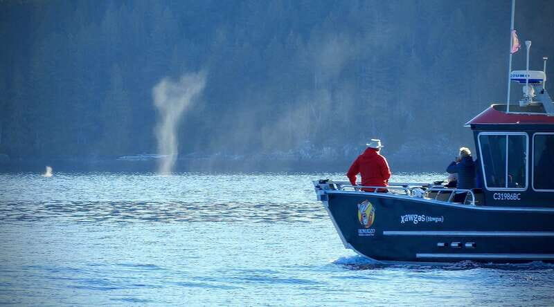 Campbell River: Grizzly Bear-Watching Tour with Lunch - Key Points